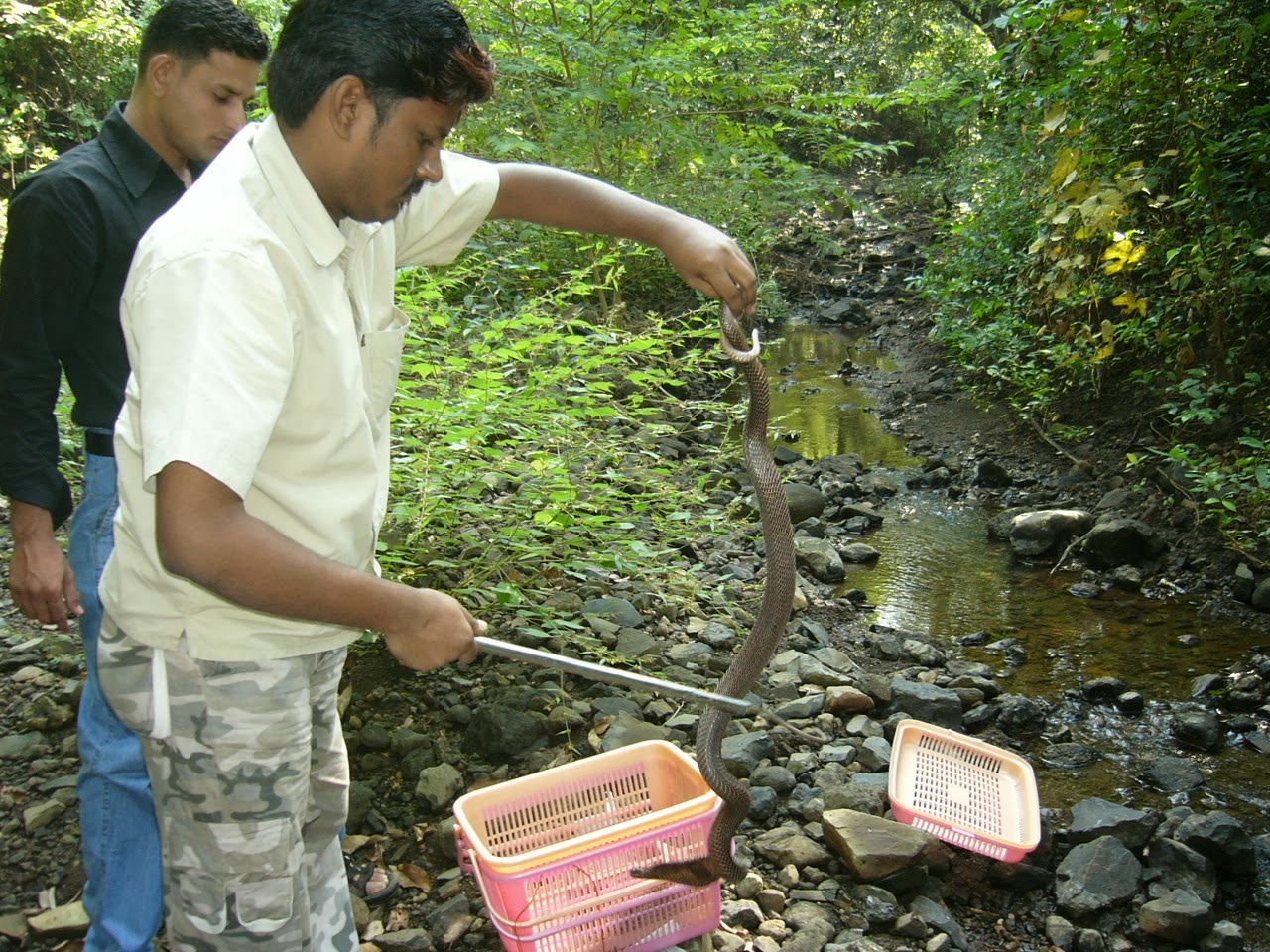 Sunish Subramanian Kunju : Sunish Subramanian Kunju Activities Photographs