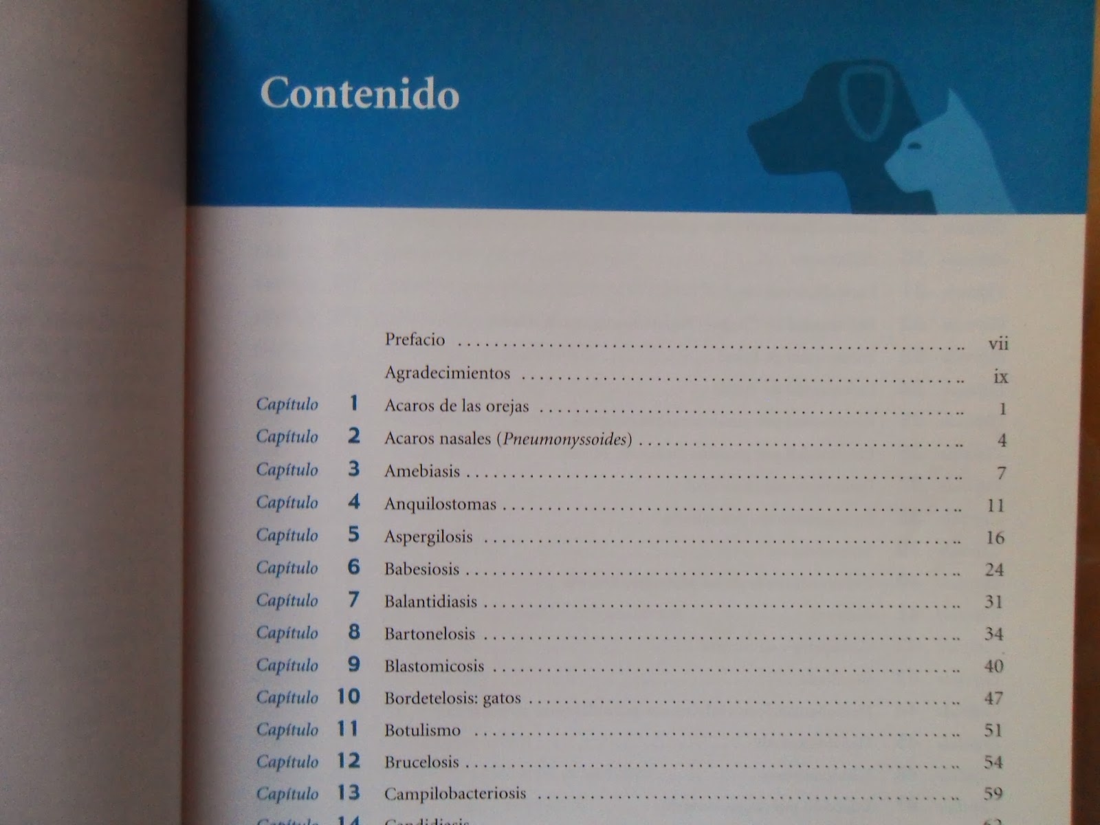 Traductora al rescate: ¿Índice o Tabla de contenido?