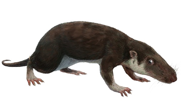 Outras Verdades Inconvenientes