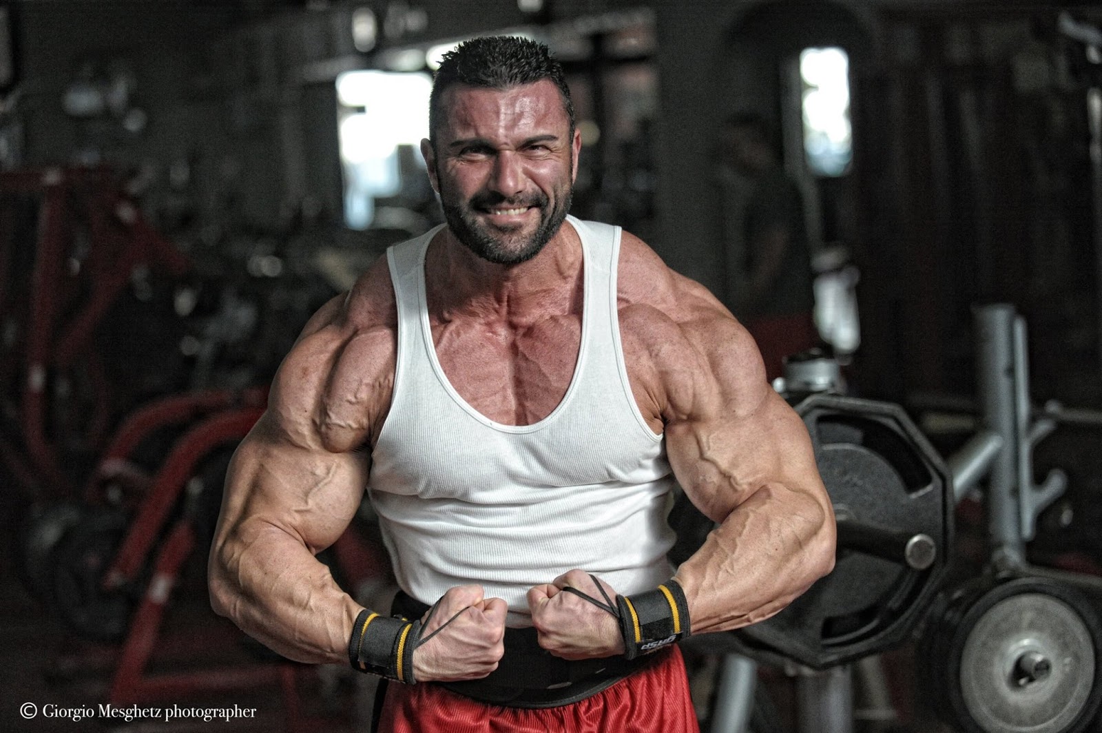Muscle Lover: Italian muscle beast Alessandro Grassi