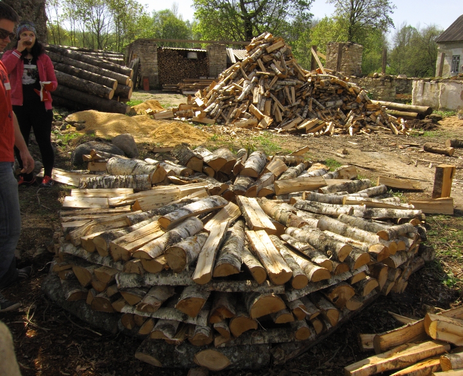 Jan Vutt fotogalerii: Puuriida ladumise talgud Põhjaka mõisas