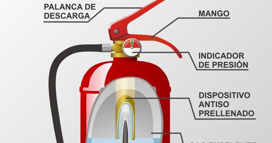 Partes De Un Extintor Buscar Con Google Artculos El Sistema Digestivo