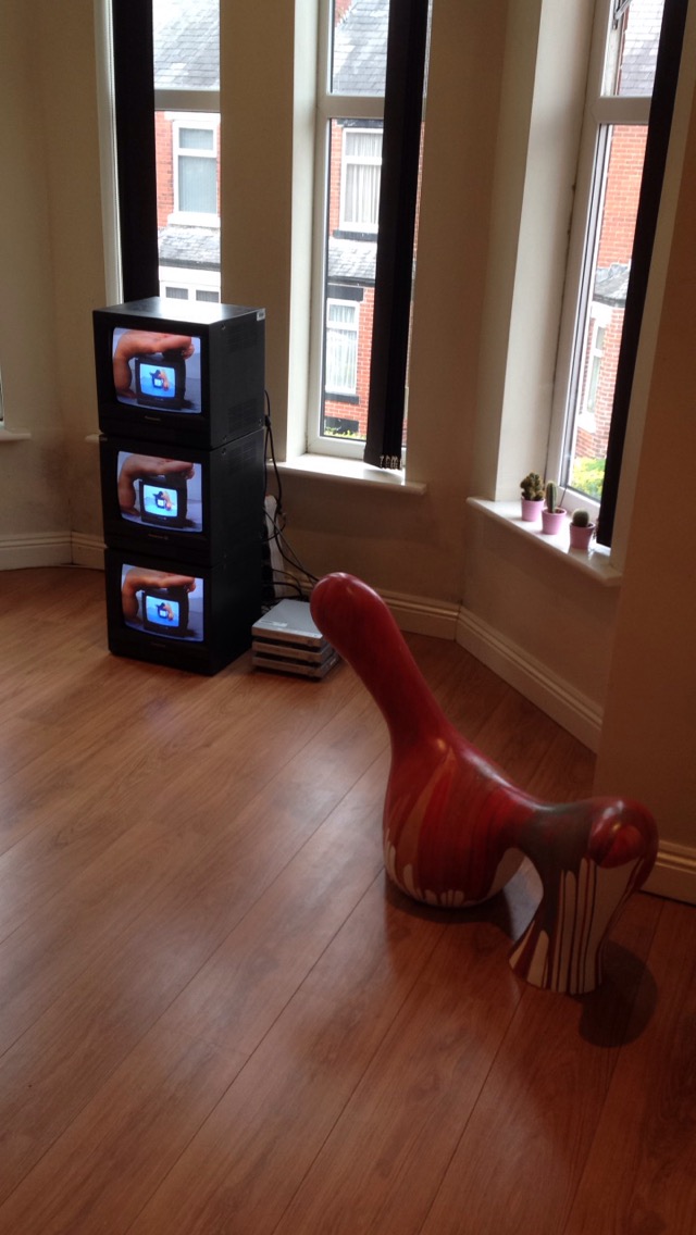 Ellen Moss Art and Audience