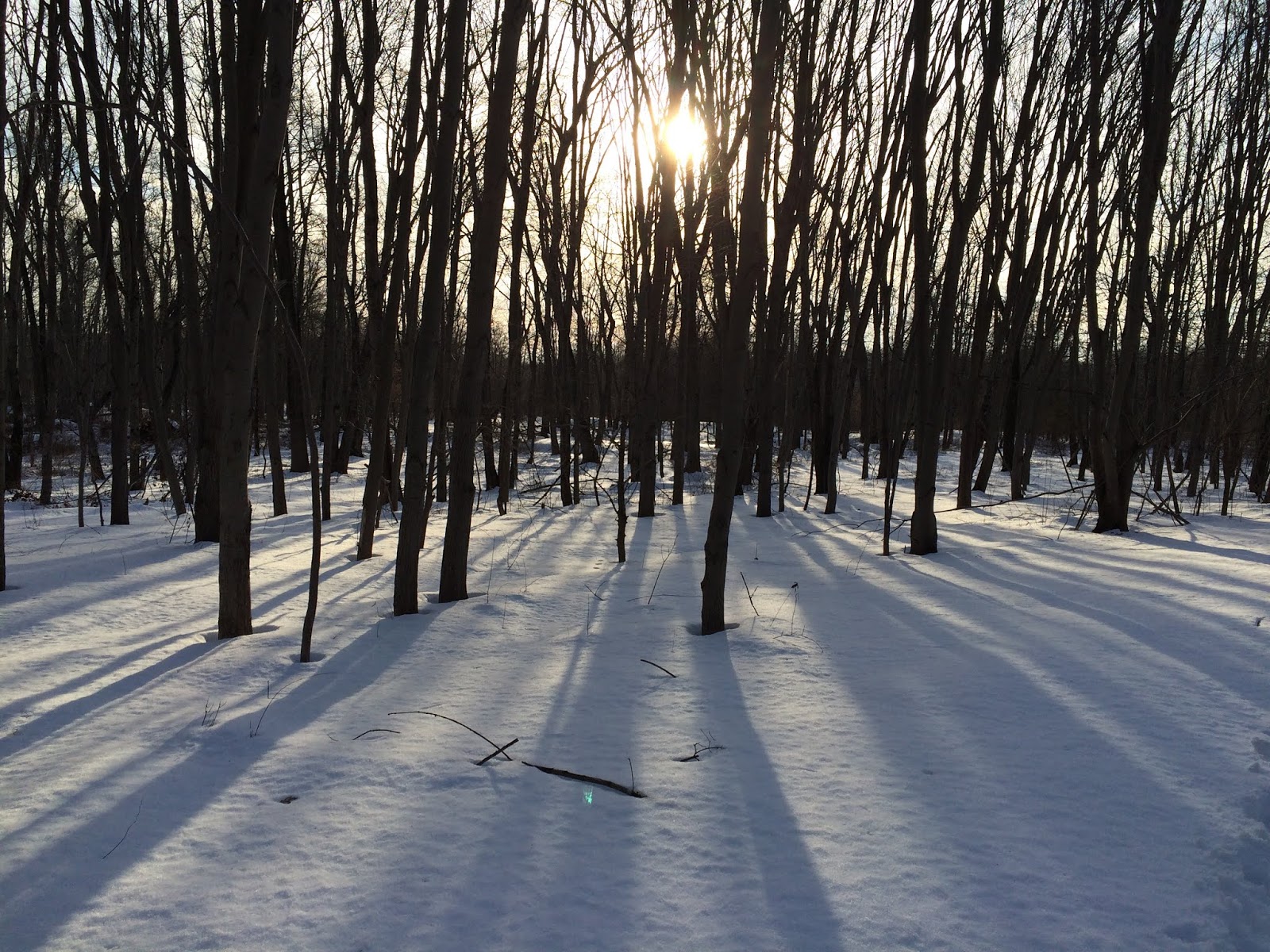 The Helpful Art Teacher: Photography 101: types of camera shots