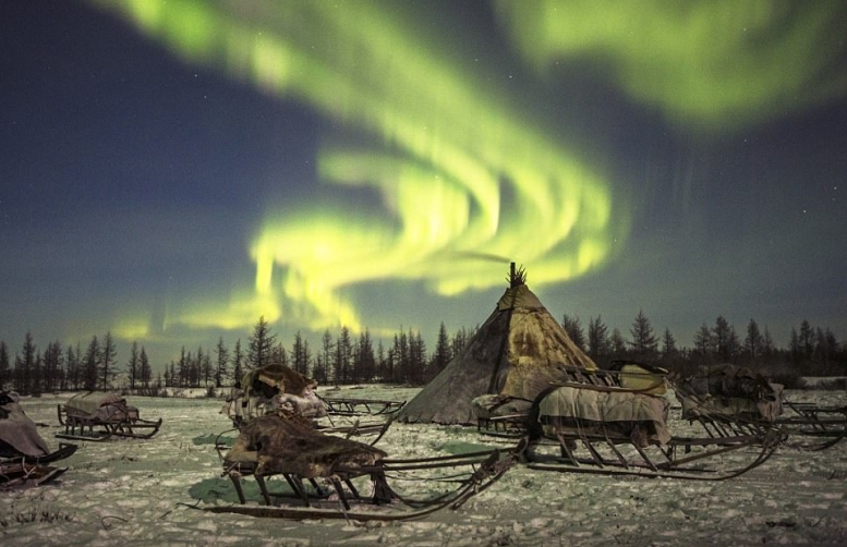 White Wolf : Stunning pictures showcase annual reindeer migration of ...