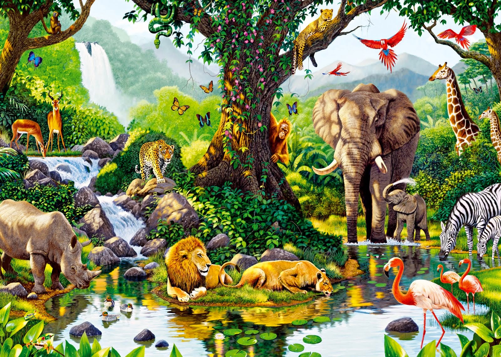 Animales de la selva