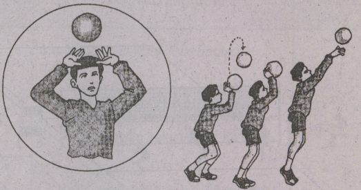 Pengertian Teknik Passing Atas Bola Voli Dan Bentuk Latihan Cara ...