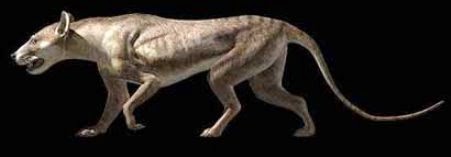 El Kronoscopio: 30 millones de años en la historia del perro (y una ...