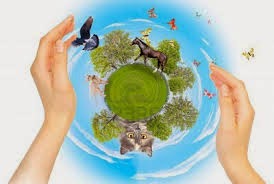 EL MEDIO AMBIENTE Y LOS CAMBIOS CLIMÁTICOS.: Factores naturales