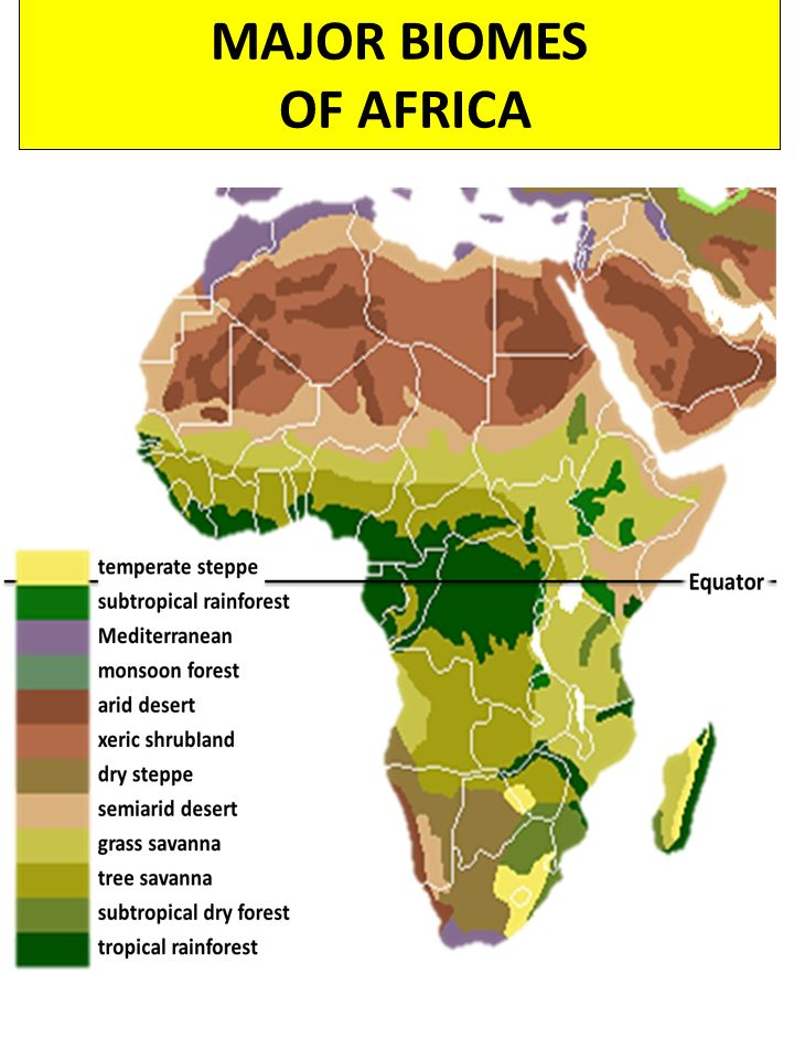FreeRangers' Homework Hideout (Mon)