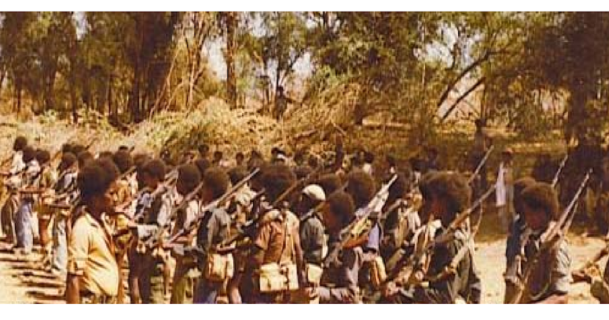 Hedgait هيدقايت ሄድጋይት: A Political History of the TPLF التأريخ السياسي ...