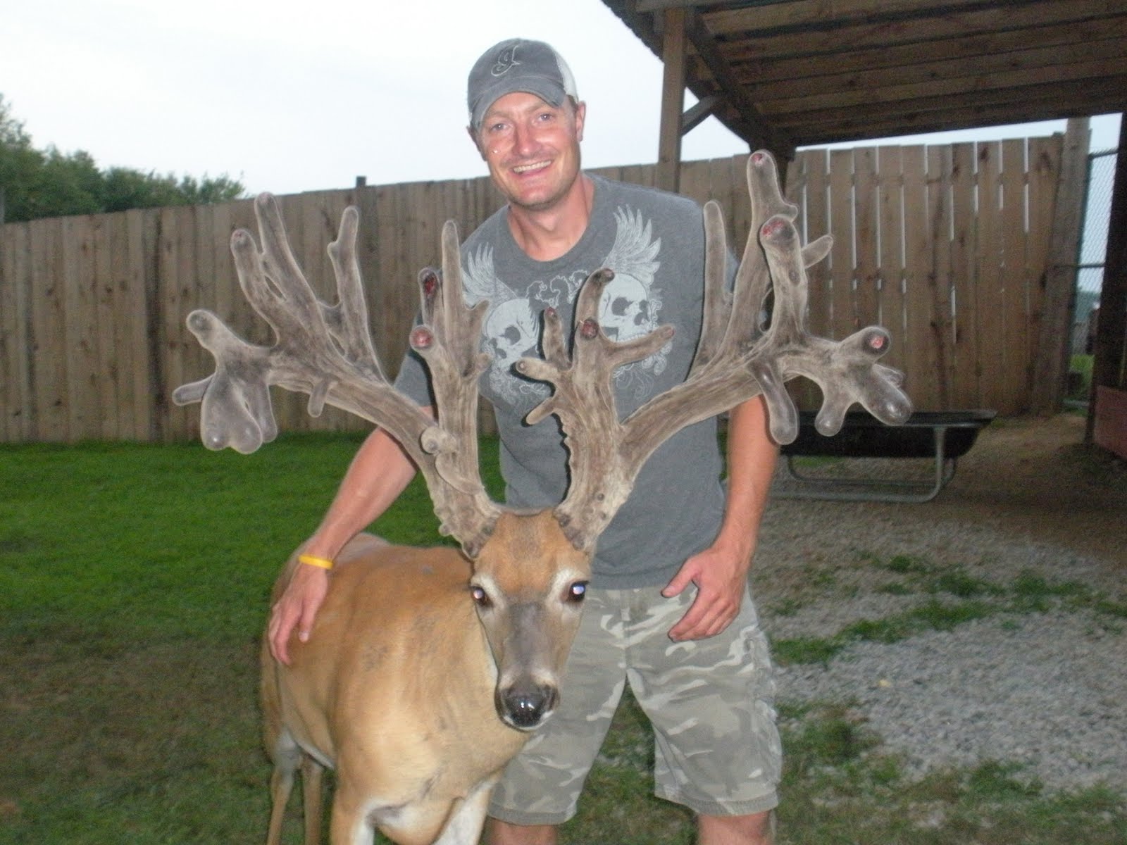 Valley View Velvet Whitetails: Country Artist Zach Paxson and Abendigo ...
