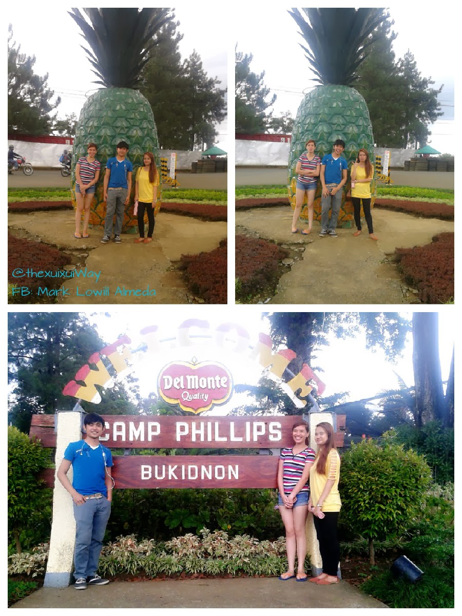 Exploring Philippines, #thexuixuiWay: Del Monte Pineapple Plantation ...