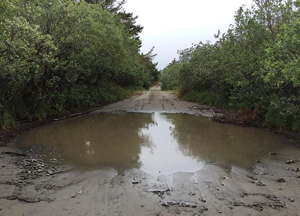 Hiking the Oregon Coast Trail: Solving the Camp Rilea Problem: OCT Day 1