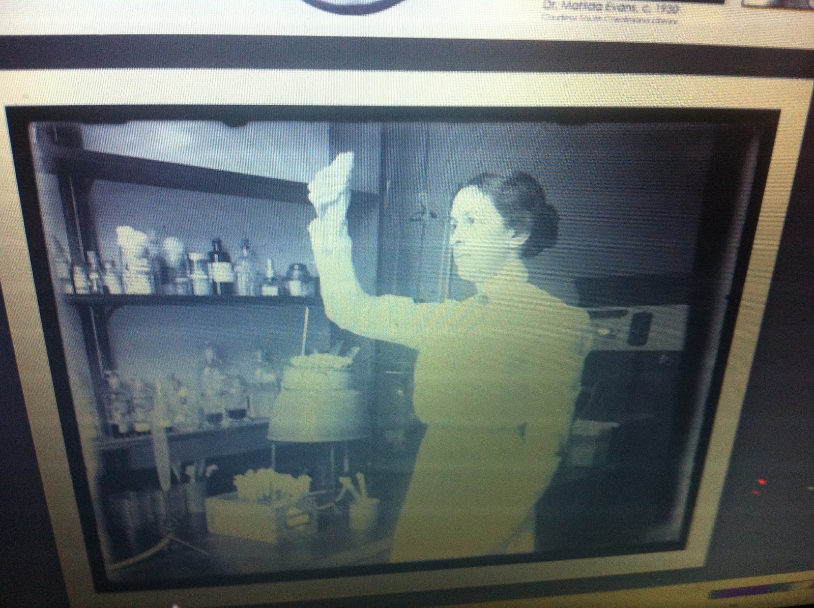 THE BLACK SOCIAL HISTORY:: BLACK SOCIAL HISTORY : AFRICAN AMERICAN ...