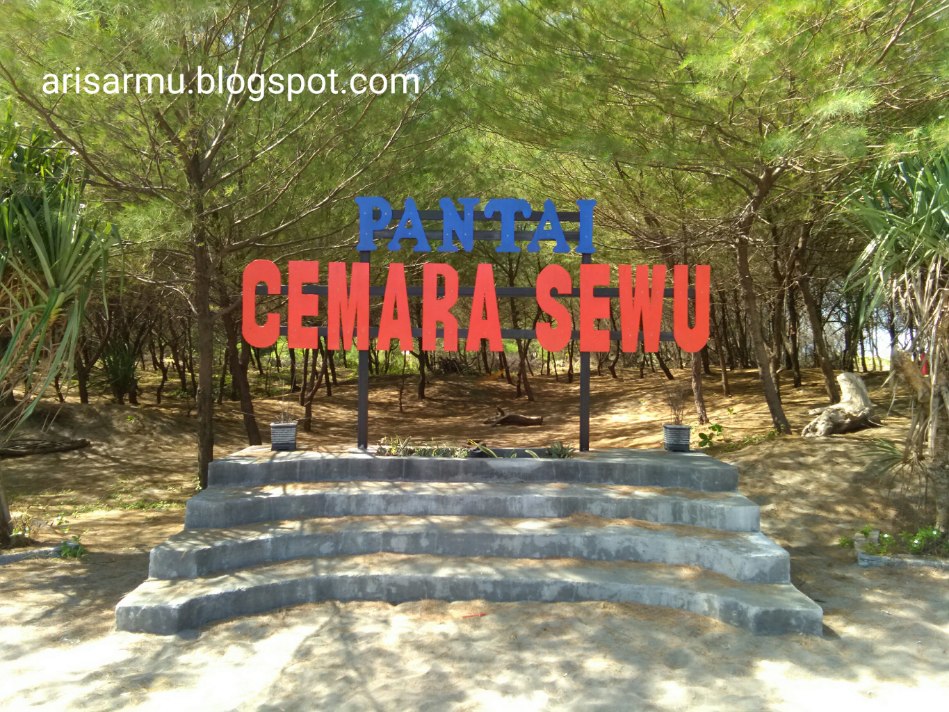 Cemara Sewu Beach Bantul, offers you a green forest and selfie spots