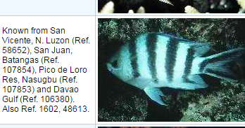 List of Reef-associated Fish in the Philippines - LISTPH