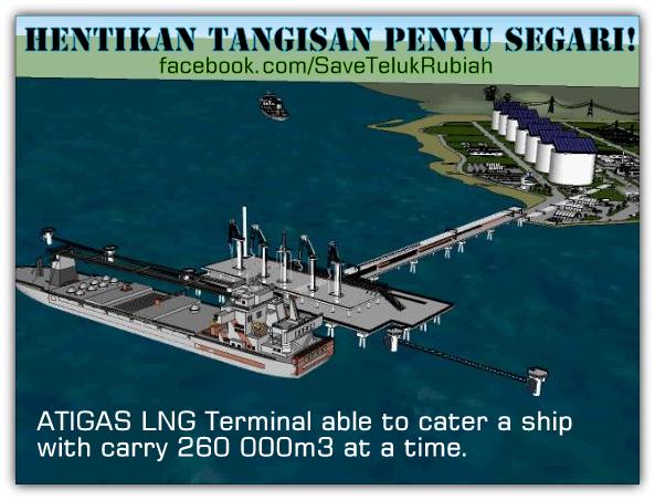 Otai Manjung: Hentikan Tangisan Penyu Segari (3): Penyu Tergugat!