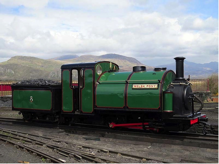 BRON HEBOG: Welsh Pony - My Pledge