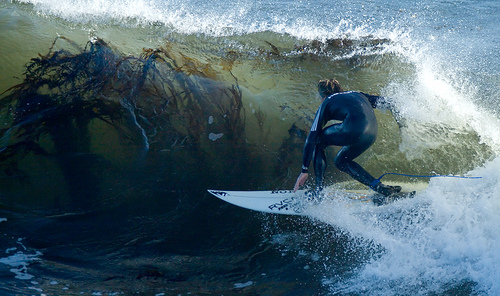 GEOFF FREED ONLINE: POST 76