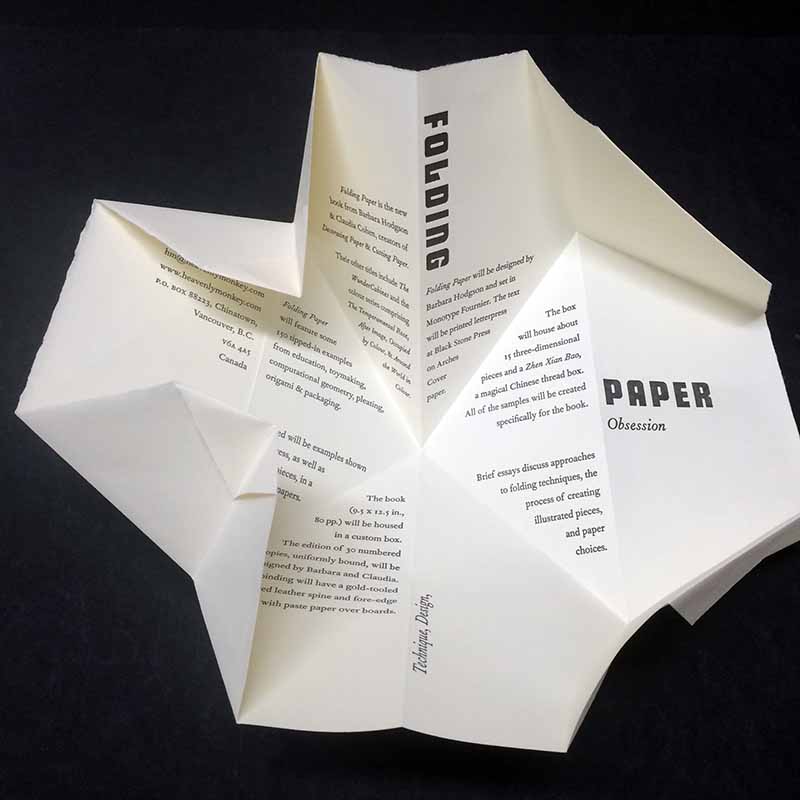 Heavenly Monkey: Folding Paper Unfolded