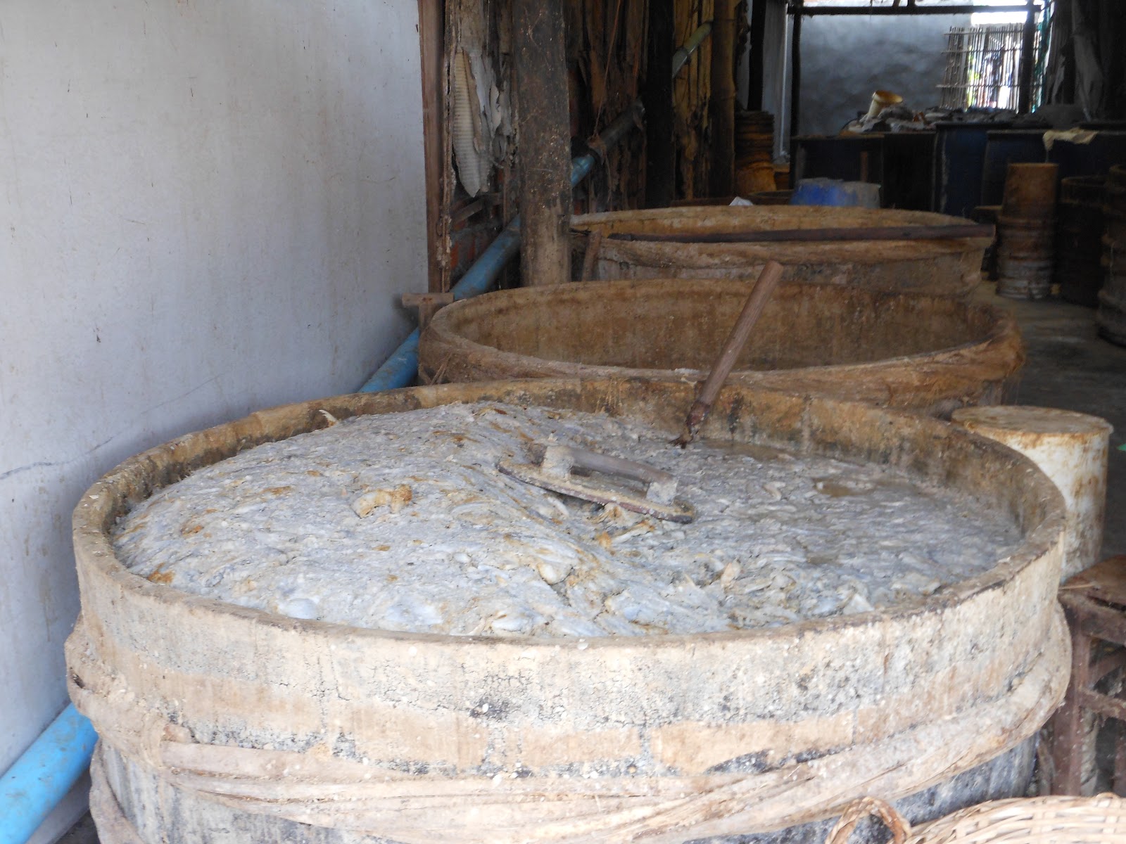 Family Travel Blog : Fish Paste Factory, Battambang, Cambodia