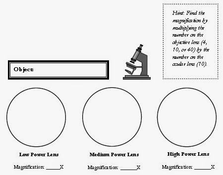 SCIENCE IN THE SCHOOL: October 2014