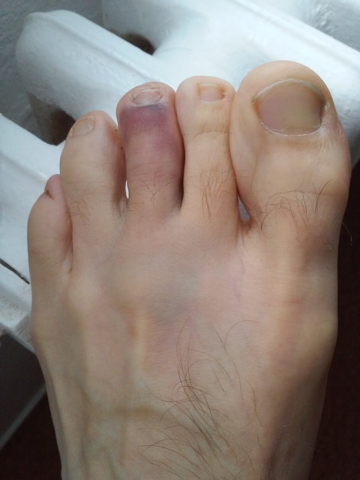 Advid's blog: Fialový prst a skály nad Žitavou