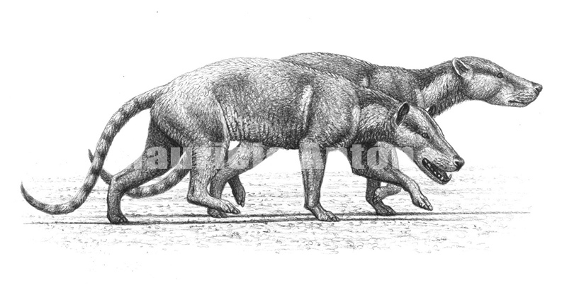 Escenarios prehistóricos: Dissacus