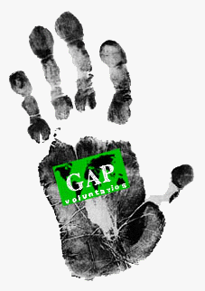 GRANDES SIMIOS PATRIMONIOS VIVOS DE LA HUMANIDAD: PERSONAS RELEVANTES ...