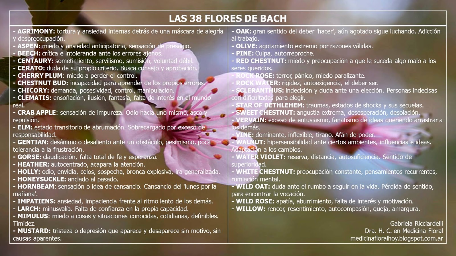 .:MEDICINA FLORAL HOY:. GABRIELA RICCIARDELLI: LAS 38 FLORES DE BACH