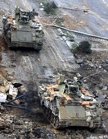 FDRA - Fuerza Terrestre: SPAAG: M164 Hovet (USA)