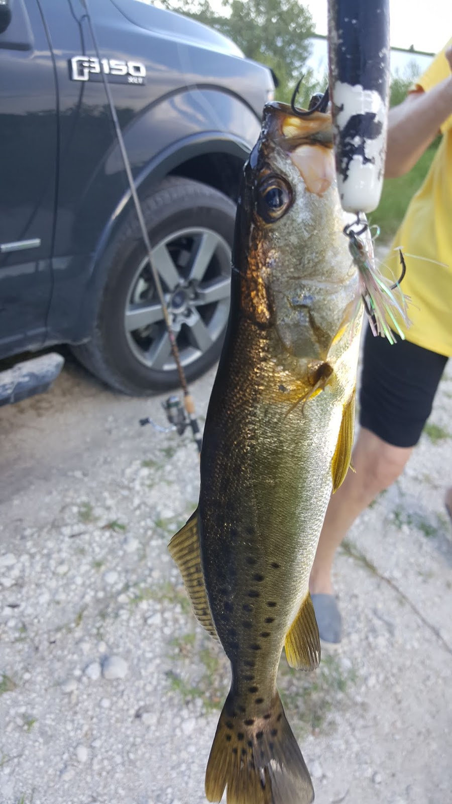 Mosquito Lagoon & Indian River Fishing: Learning How To Fish A Chug Bug