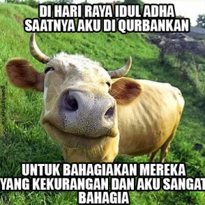 20 Meme 'Pesan Terakhir Kambing & Sapi' Ini Ceriakan Idul Adhamu - baca ...