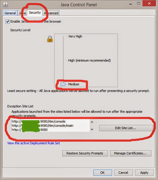 IBM - Identity Management for dummies like us: Design Forms and ...