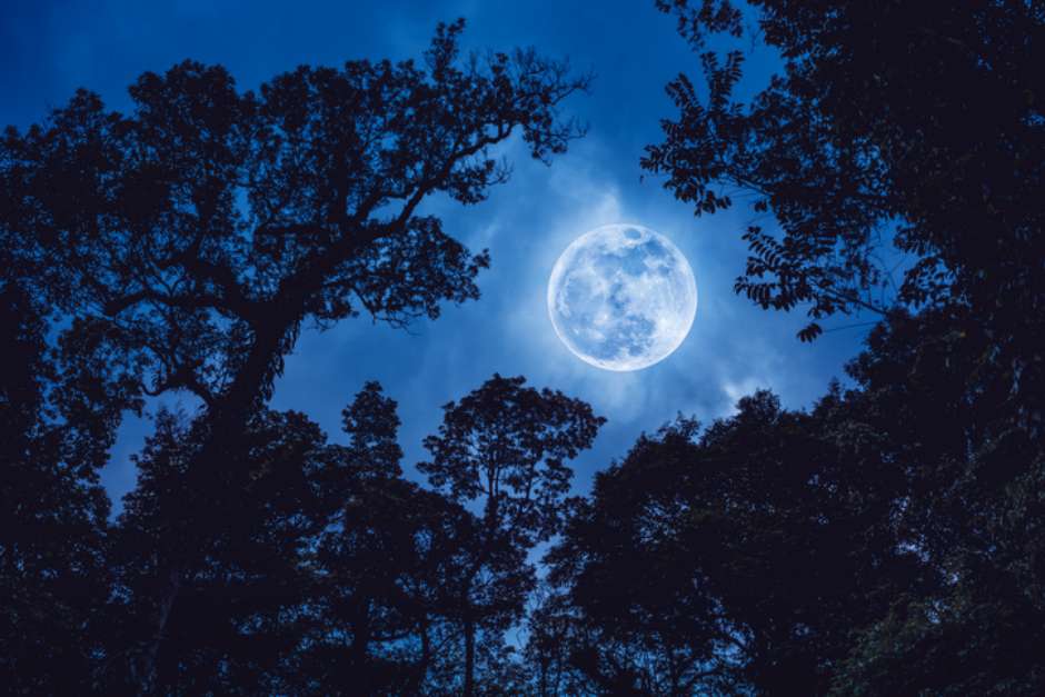 Sementes das Estrelas: LUA CHEIA DO ESTURJÃO: TEMPOS EMOCIONAIS PARA ...