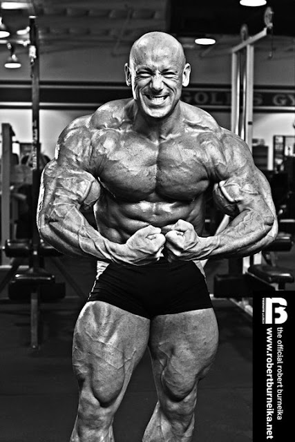 mr olympia 2012, mr olympia 2012 predictions, mr olympia 2012 winner ...