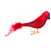 Animation Bundle: Animated Cardinals Chirping and Spreading Love of ...
