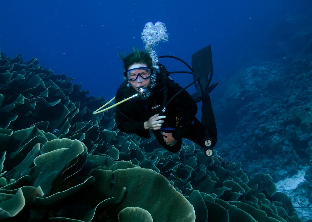 Savannah: The Rock Islands, Palau