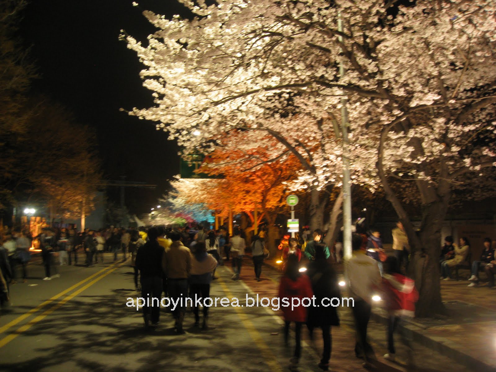 A Pinoy in Korea: One Spring Night ... In Yeouido!