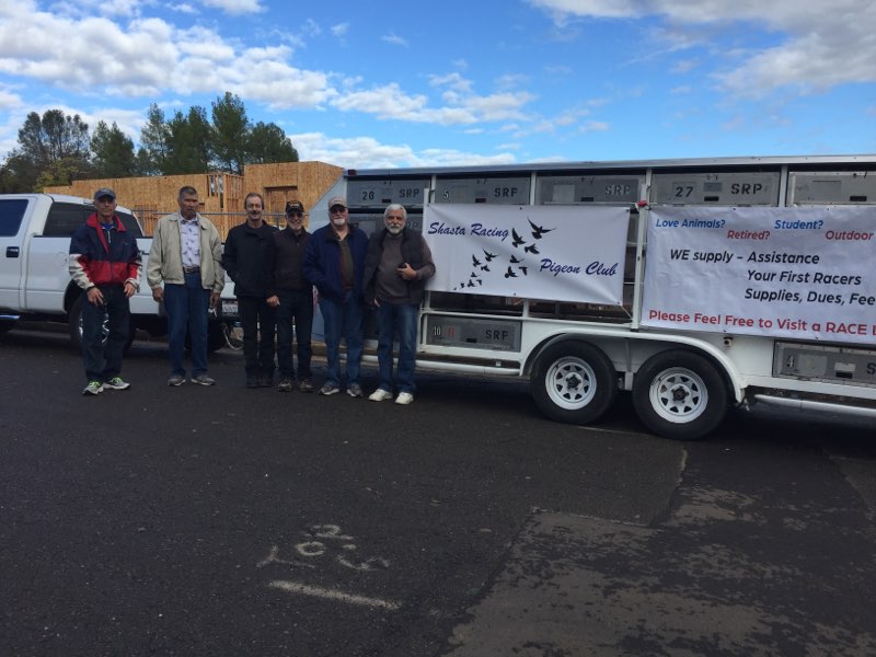 AMERICAN RACING PIGEON UNION: Shasta Racing Pigeon Club (SRP)