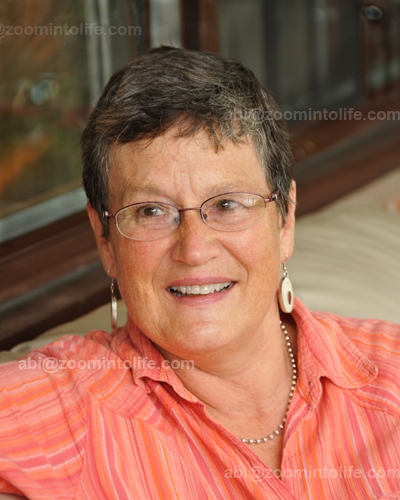 Quick Brown Fox: “Chatterer the red squirrel” by Elizabeth Barnes