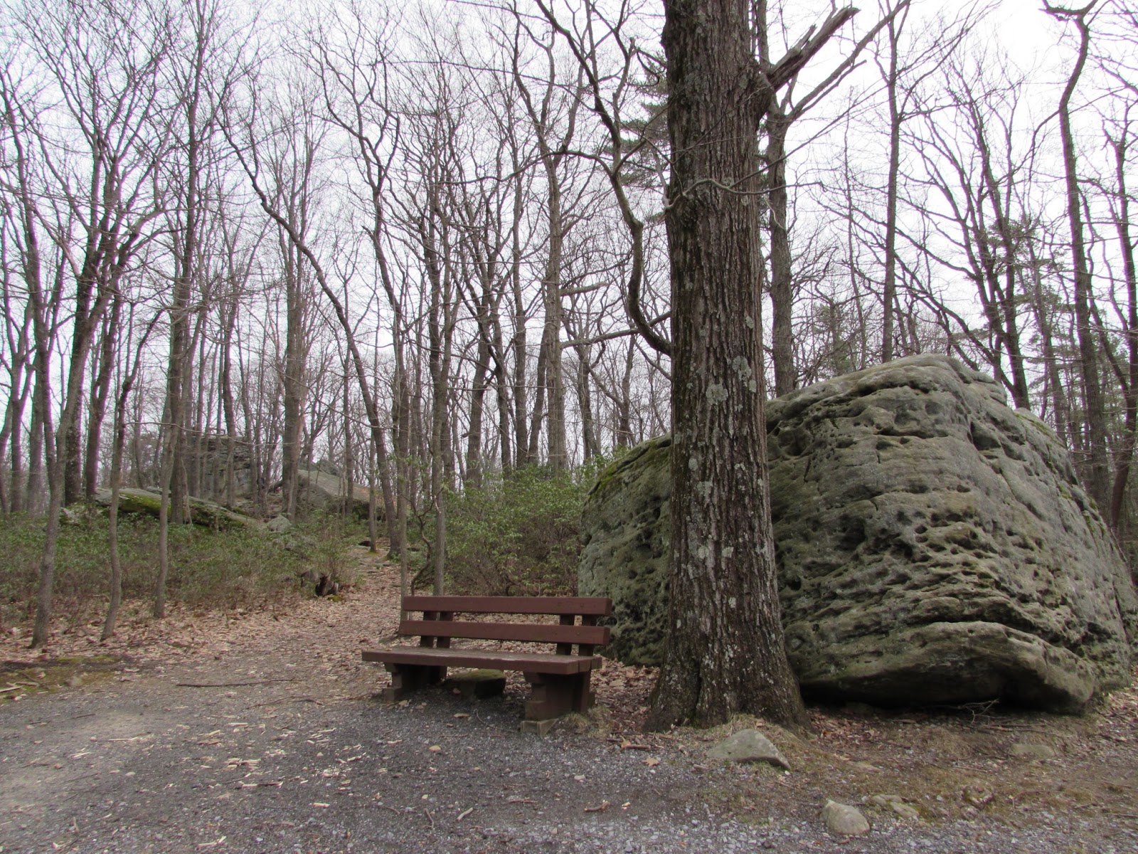 Beartown Rocks: A Rock City in Clear Creek State Forest, Jefferson ...