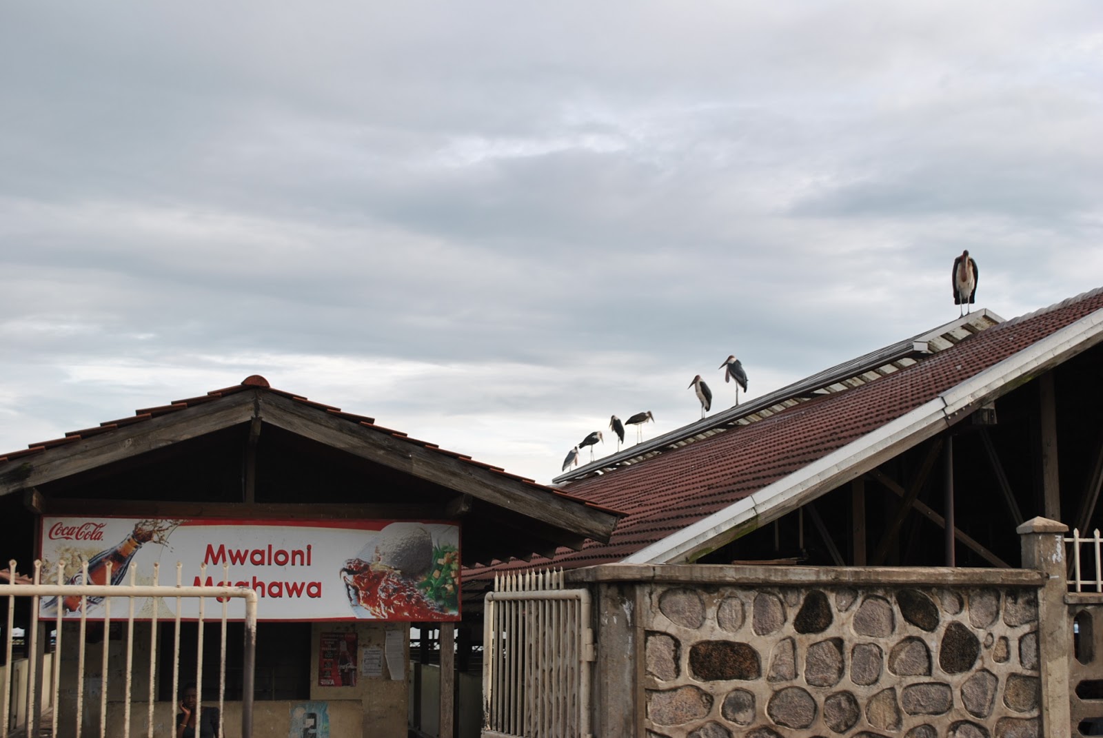 T-E-M-B-E-A Tanzania: "Kunguru" wa Mwanza