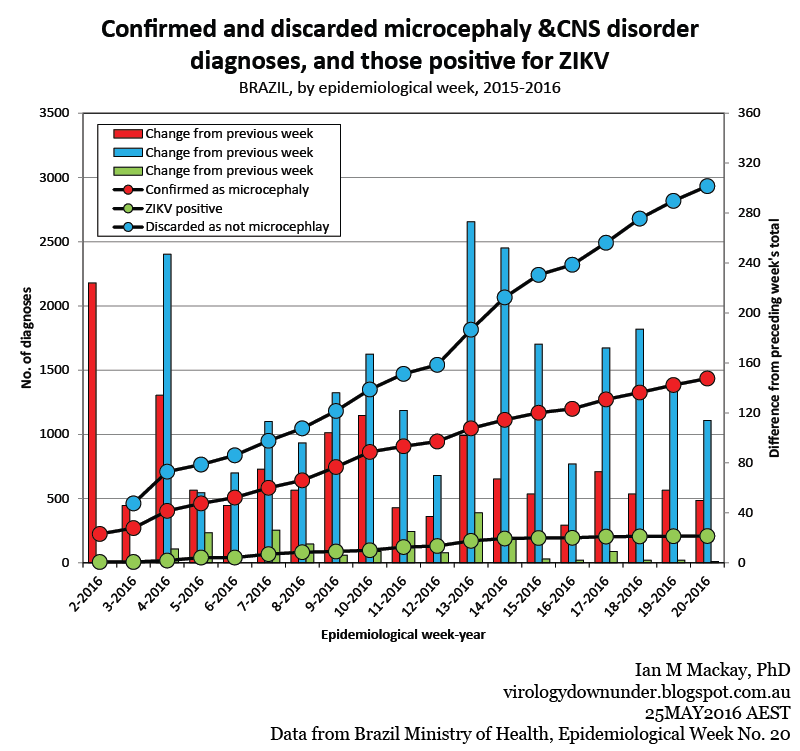 VDU's blog: Brazil's microcephaly and CNS disorder (M&CD) monitoring ...