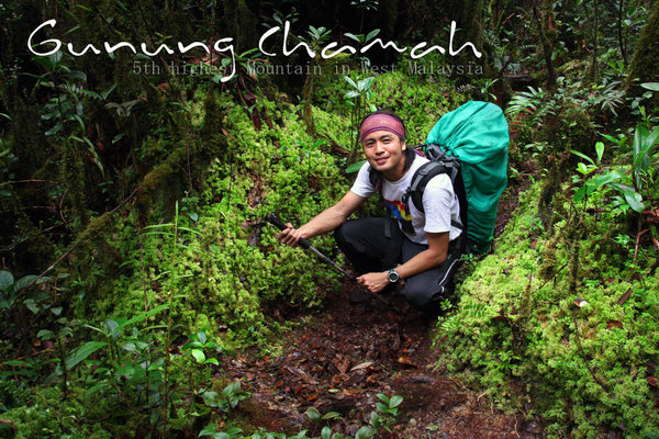 Dan's Den: Gunung Chamah 2,171m