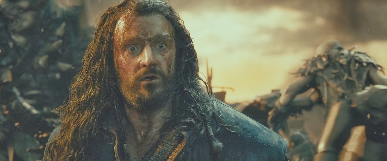 White Rose: Sincere and Simple Thoughts: Thorin Revisited in Pictures ...