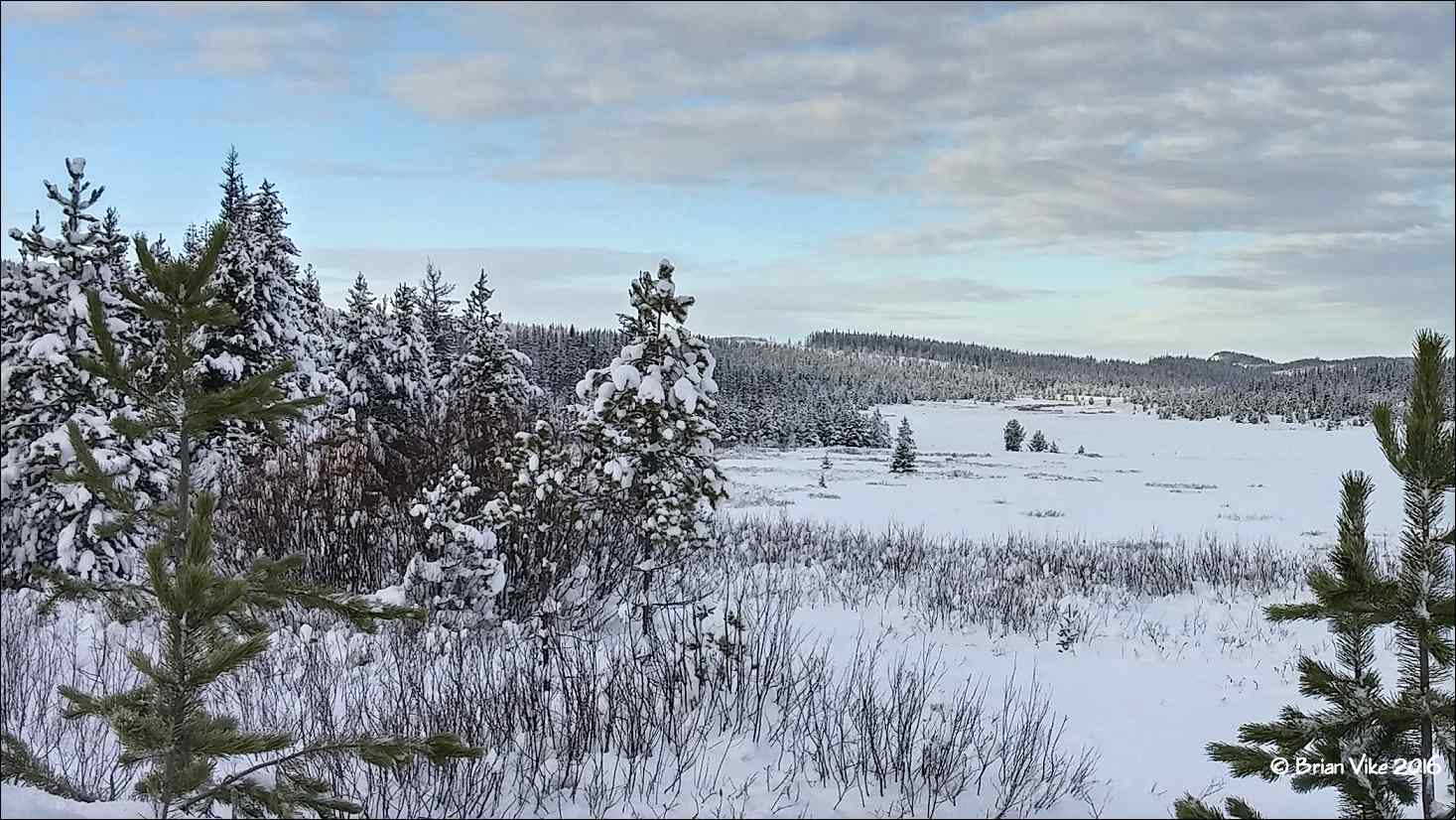 Northern Interior British Columbia: Winter's December 2015 Snowfall 2 ...