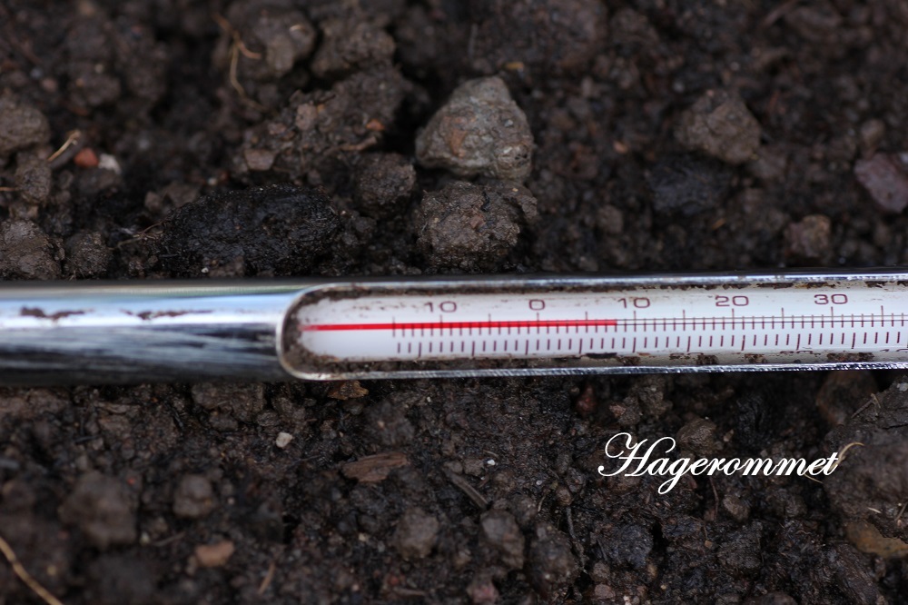 Hagerommet: Ta tempen på jorden....