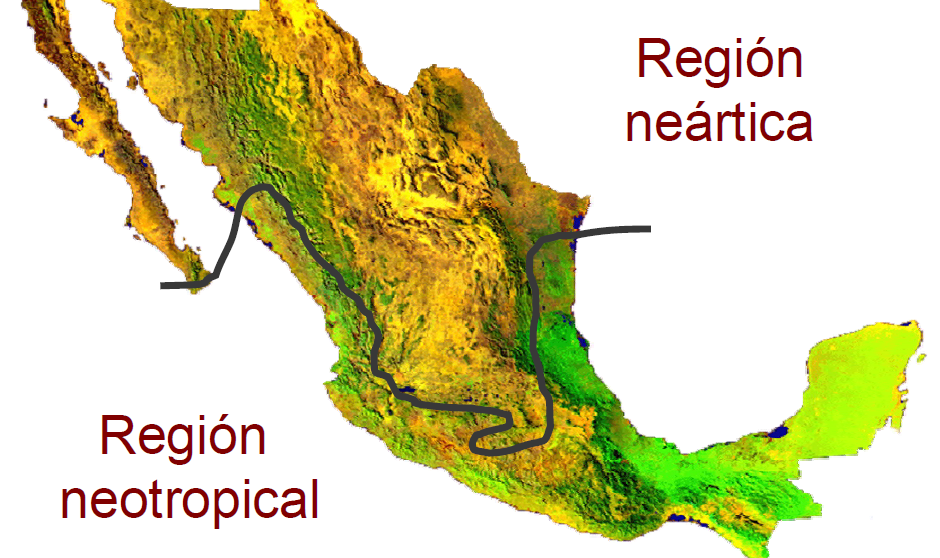 Megadiversidad Mexicana: México en el Mundo